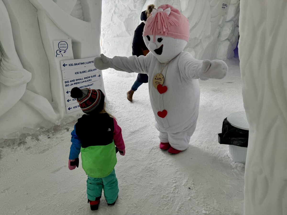 A Handy Guide to Snowman World