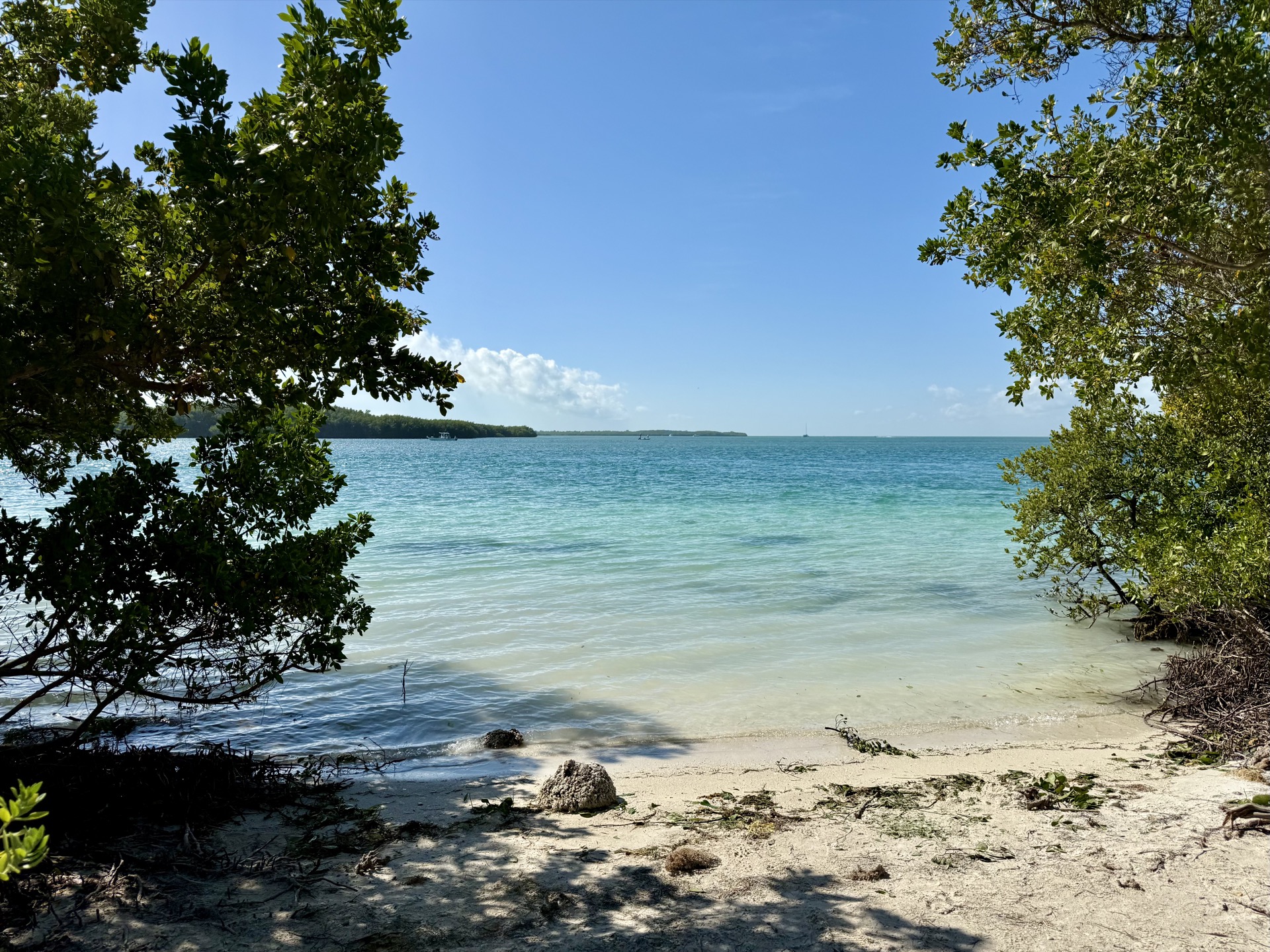Everglades & Biscayne National Parks — 2 Day Itinerary