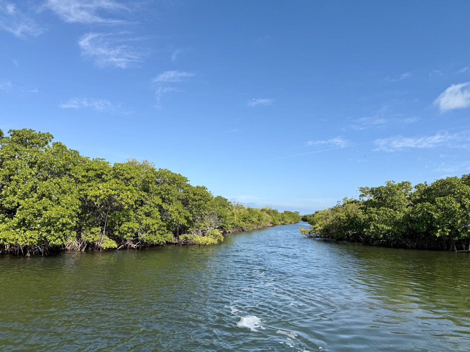 Everglades & Biscayne National Parks — 2 Day Itinerary