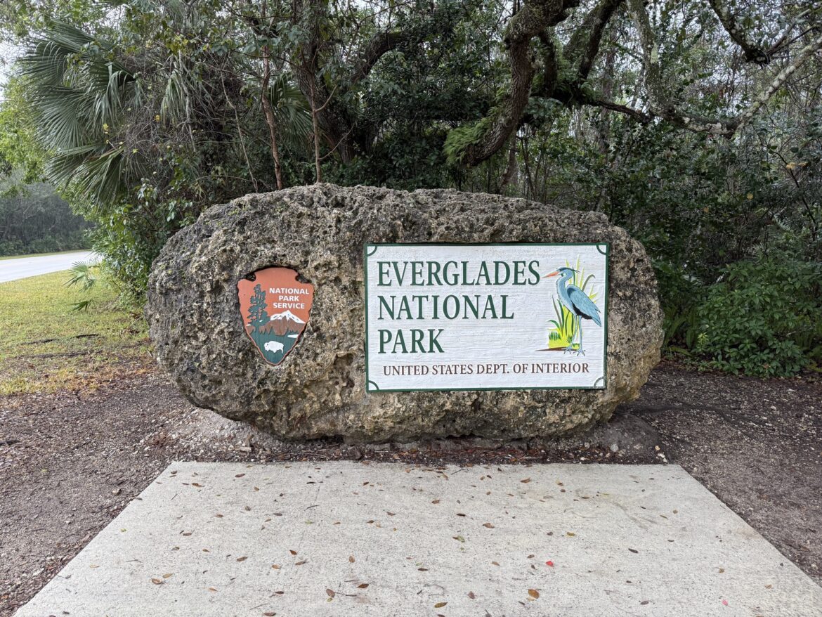 Everglades National Park — 1 Day, Kid Friendly Itinerary