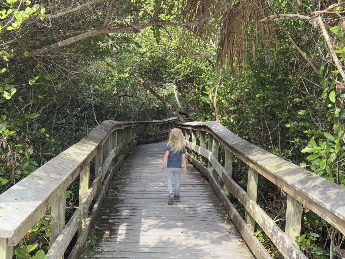 Everglades National Park — 1 Day, Kid Friendly Itinerary